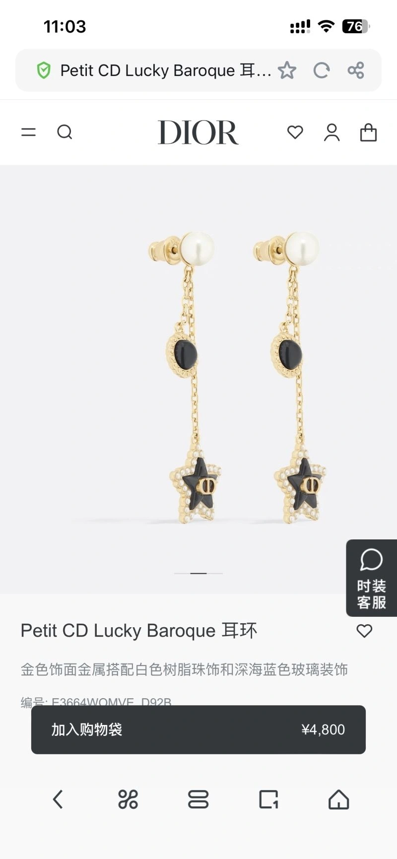 Christian Dior Earrings