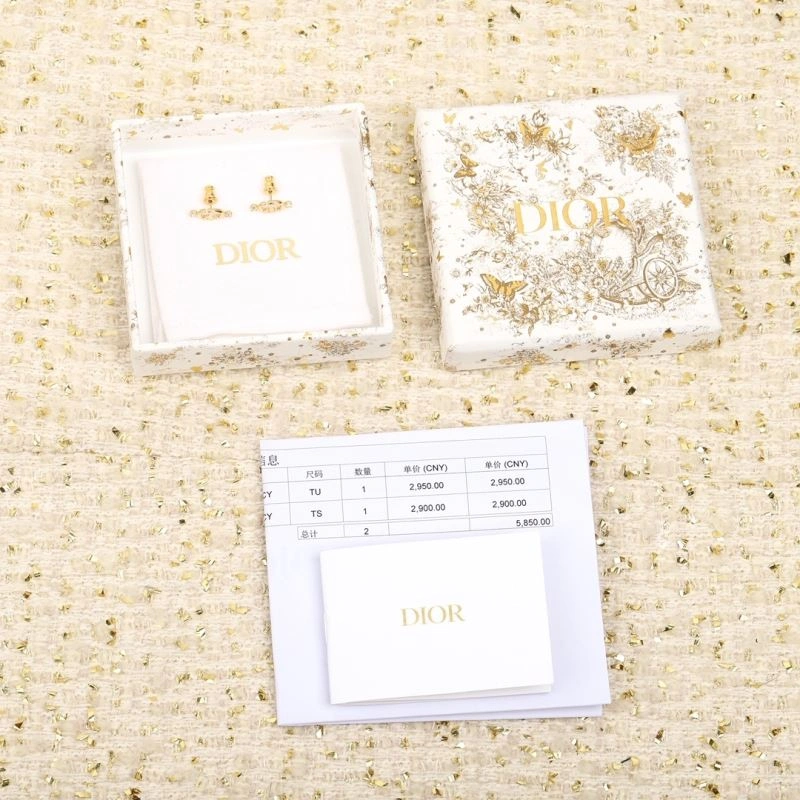 Christian Dior Earrings