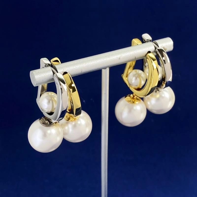 Christian Dior Earrings