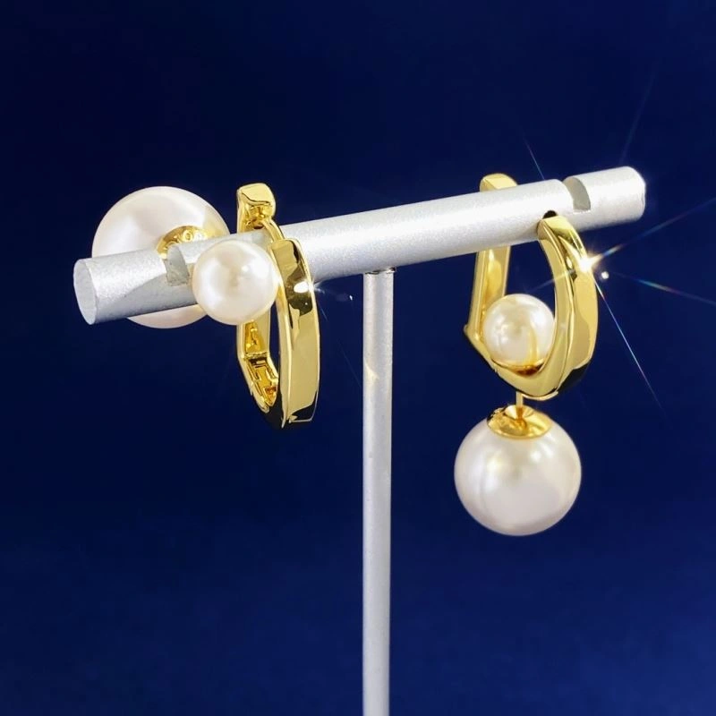 Reasonably priced Christian Dior Earrings