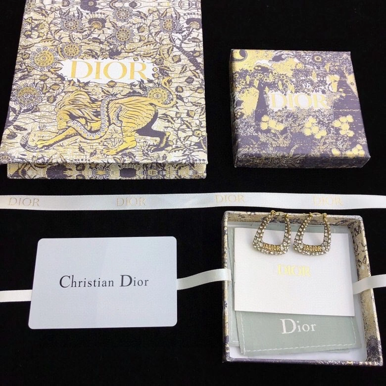 Mirror quality Christian Dior Earrings
