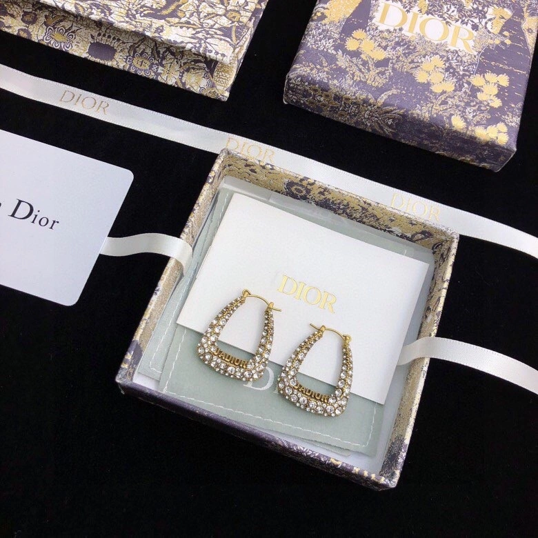 Mirror quality Christian Dior Earrings