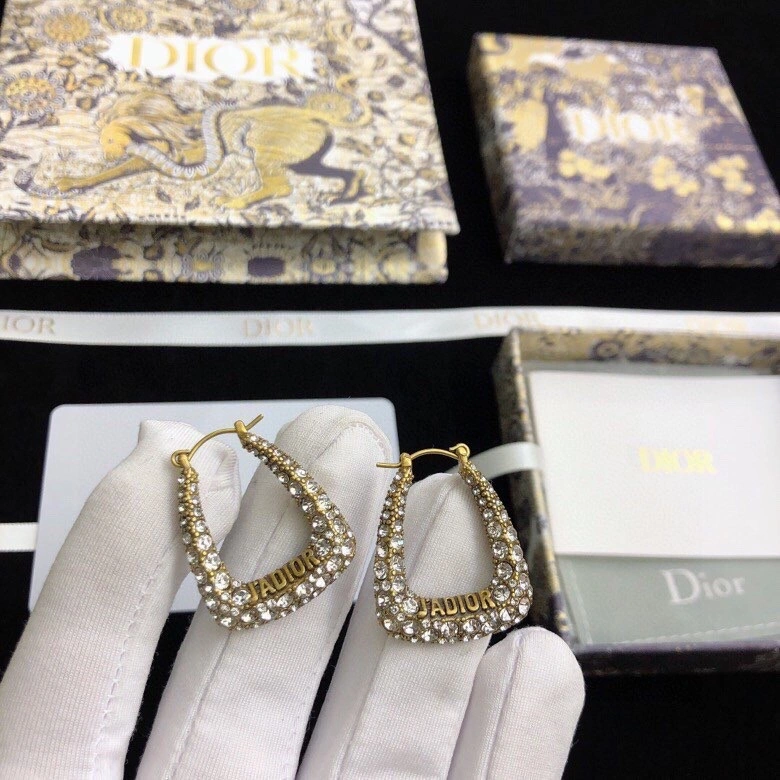 Mirror quality Christian Dior Earrings