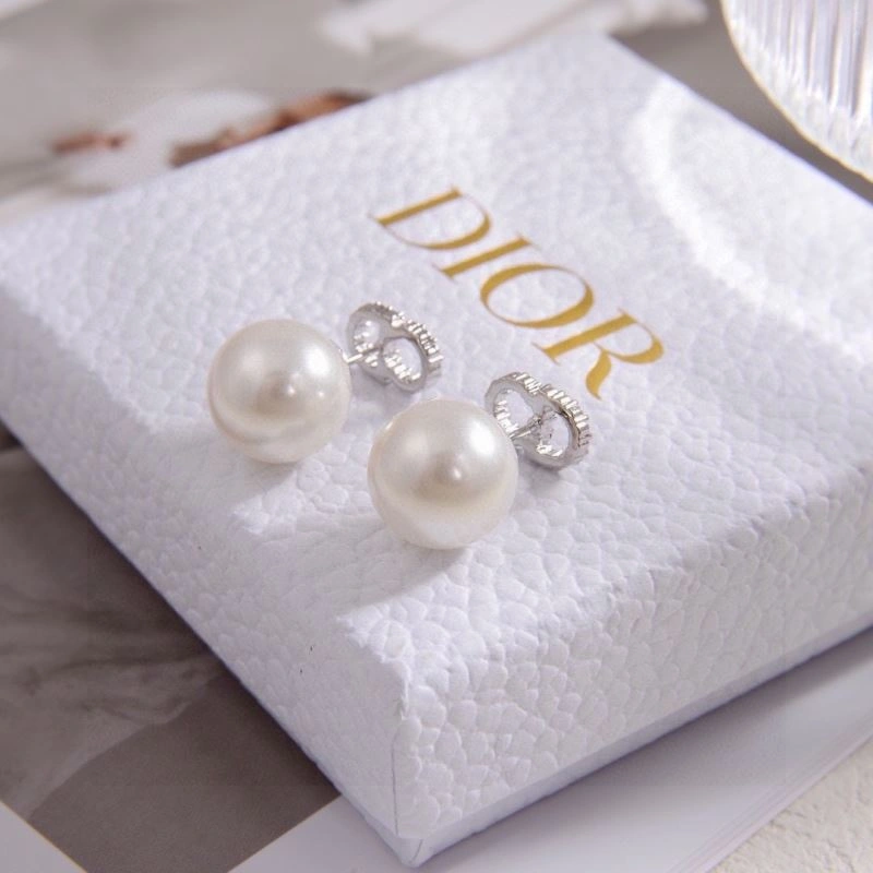 Precise copy Christian Dior Earrings