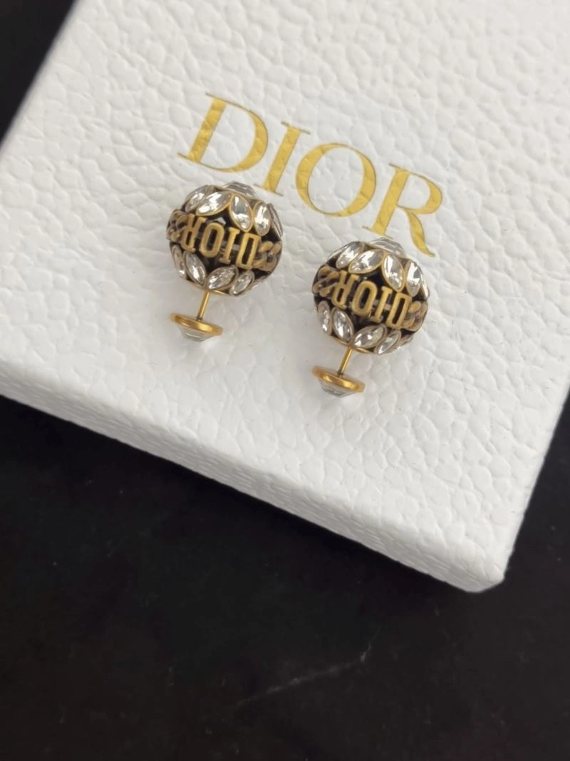 High accuracy Christian Dior Earrings