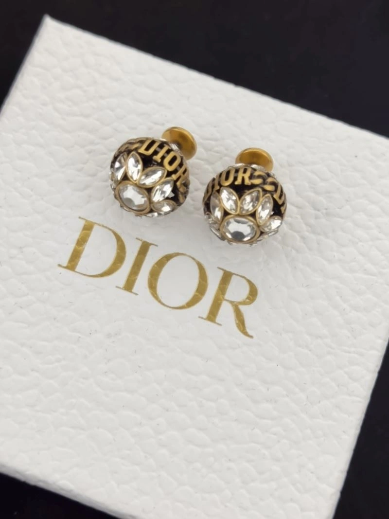 High accuracy Christian Dior Earrings