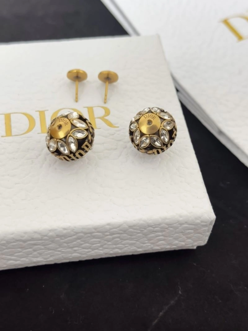 High accuracy Christian Dior Earrings
