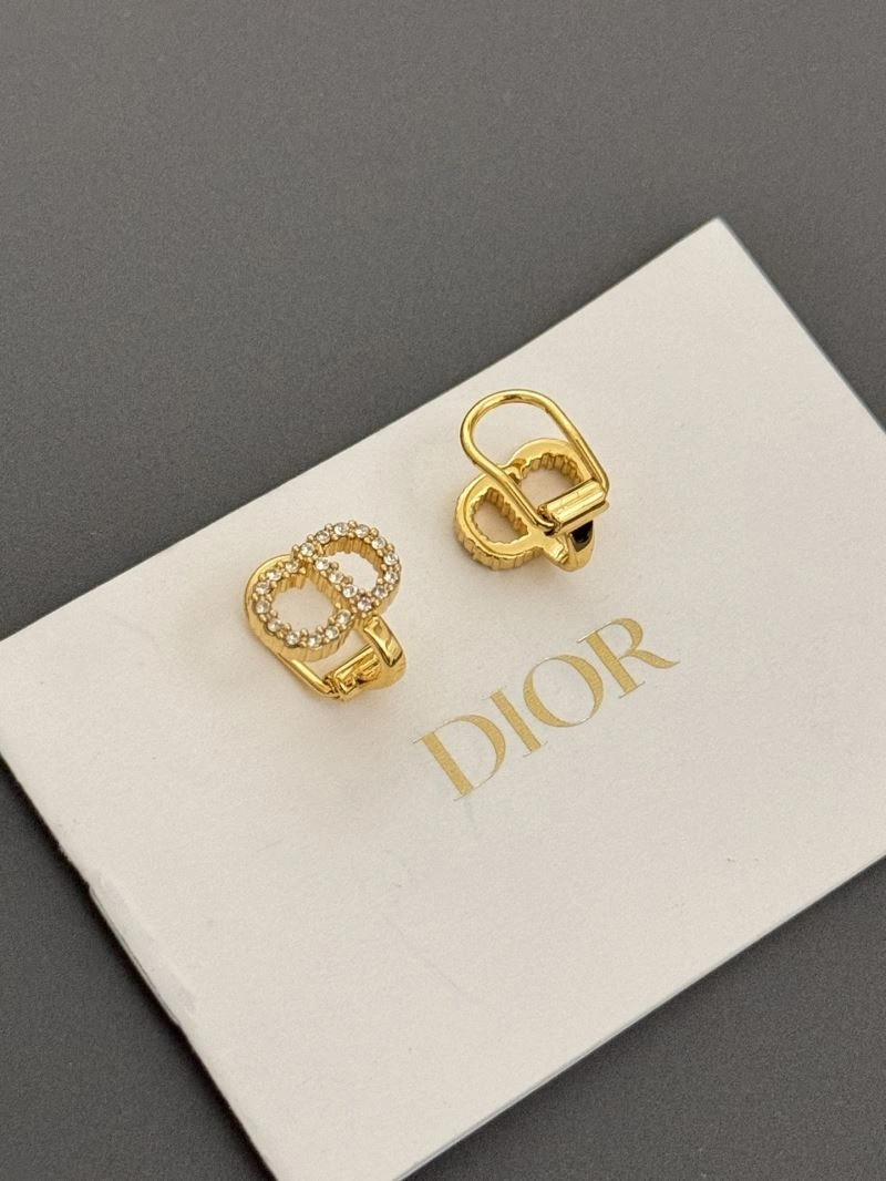 Accurate model Christian Dior Earrings