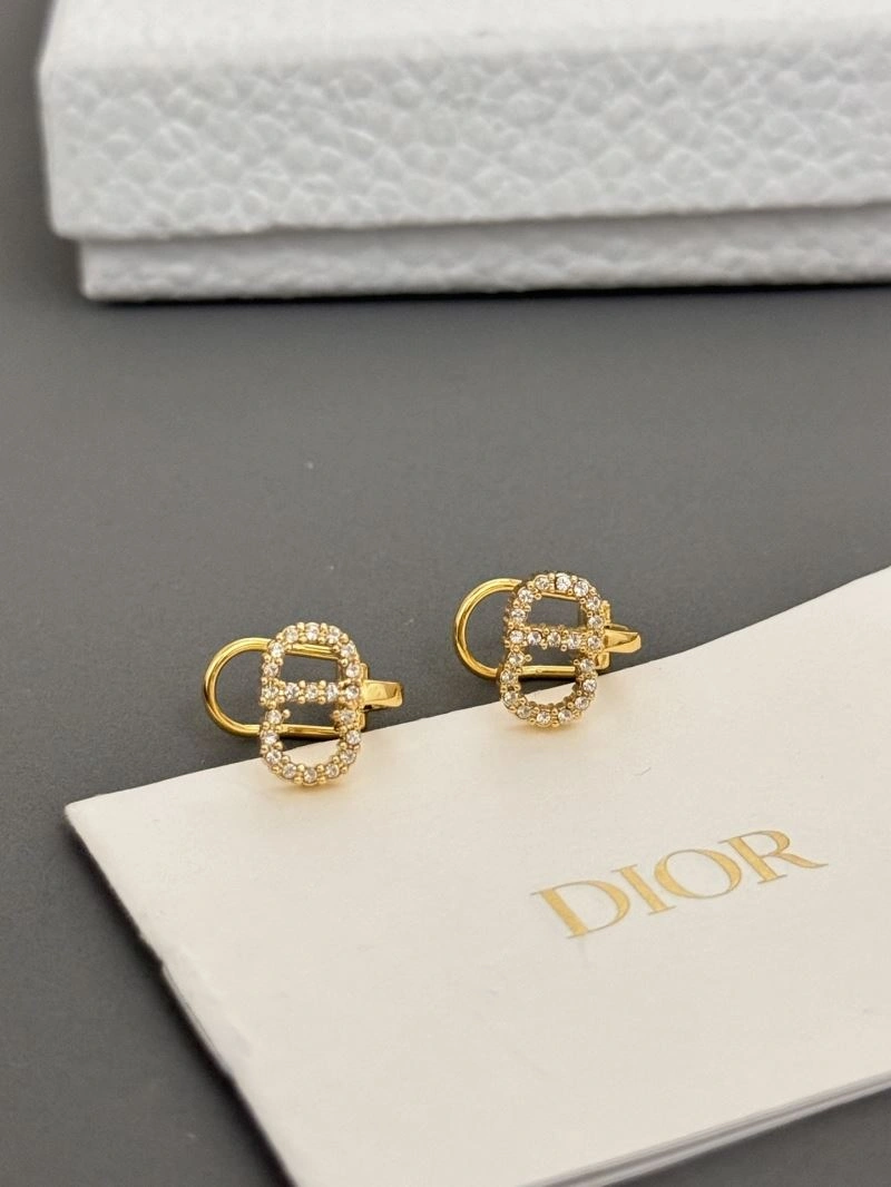 Accurate model Christian Dior Earrings