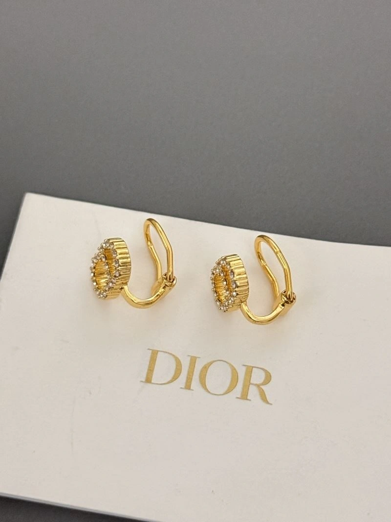 Accurate model Christian Dior Earrings