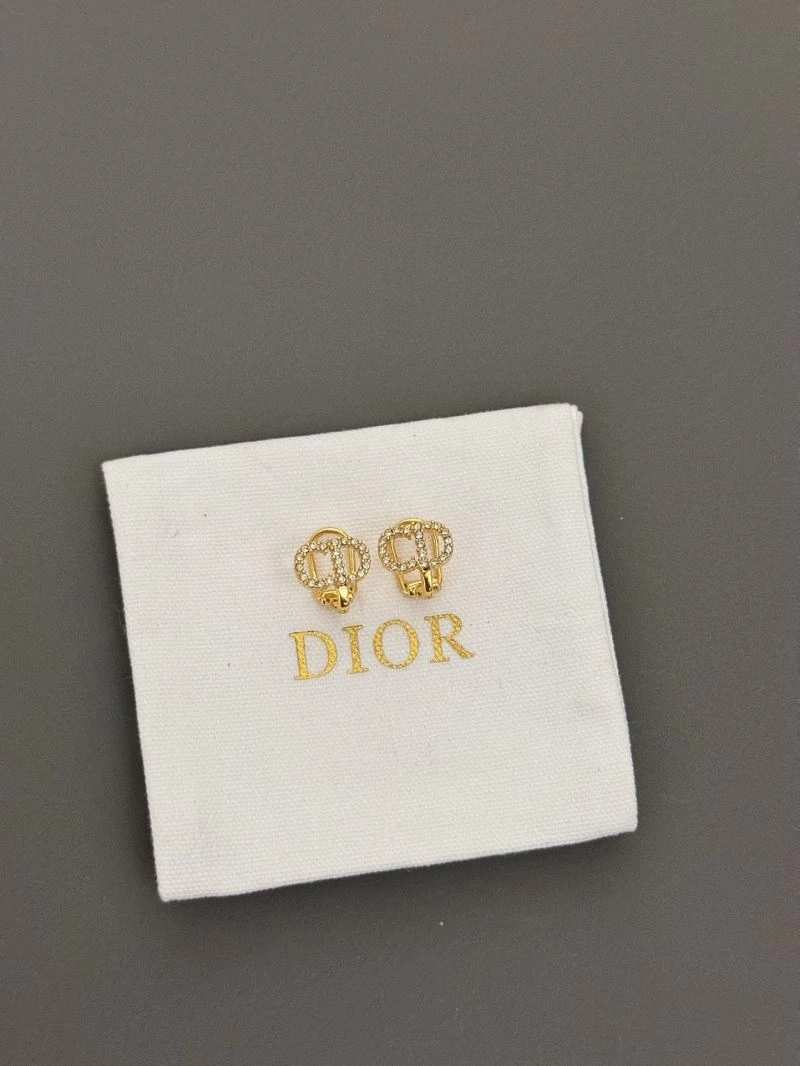 Accurate model Christian Dior Earrings