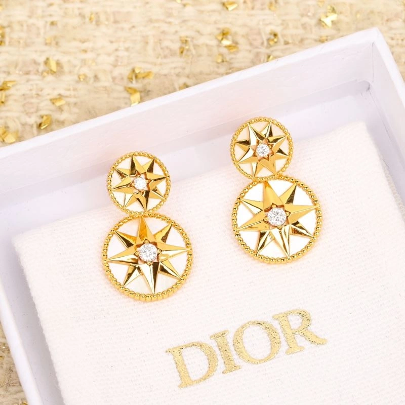 High accuracy Christian Dior Earrings