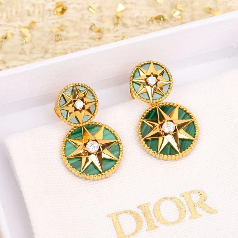 High accuracy Christian Dior Earrings