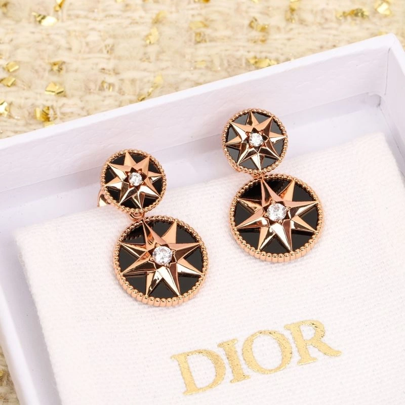 High accuracy Christian Dior Earrings