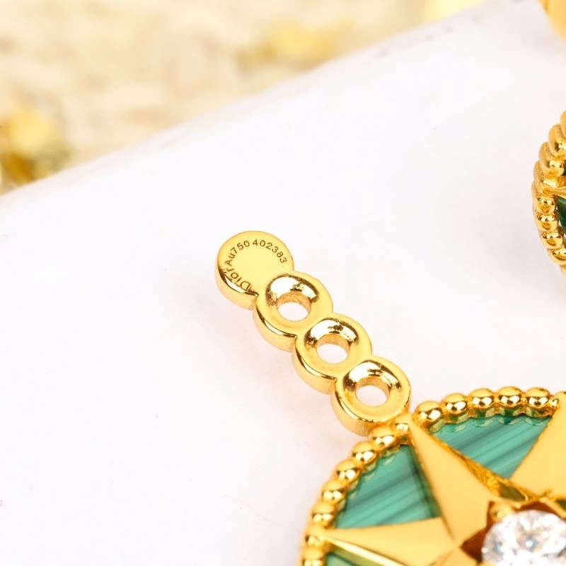 High accuracy Christian Dior Earrings