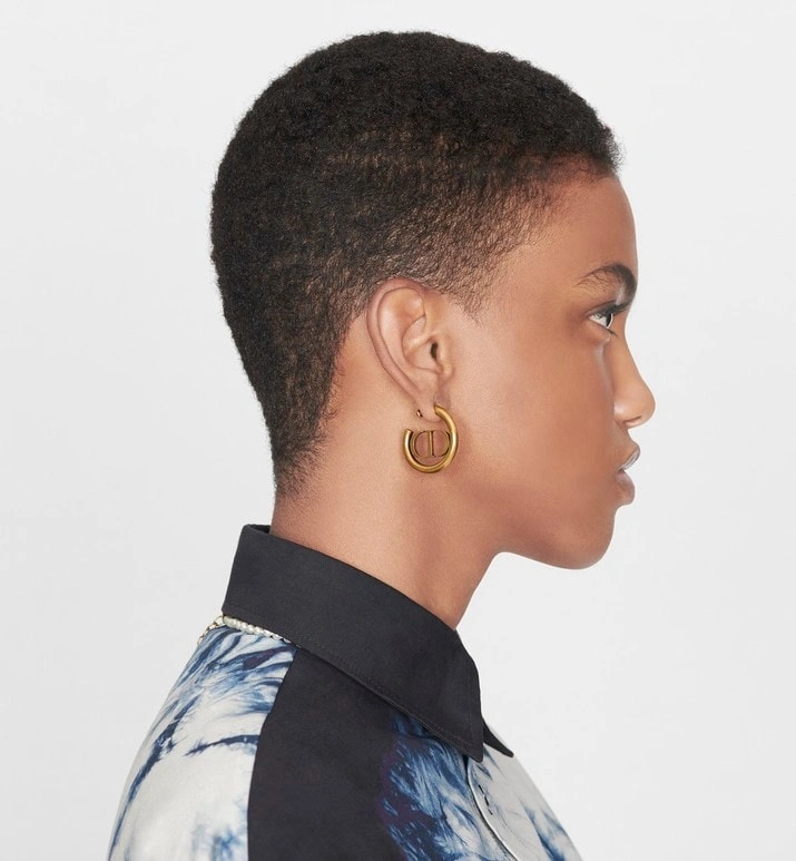 Accurate model Christian Dior Earrings