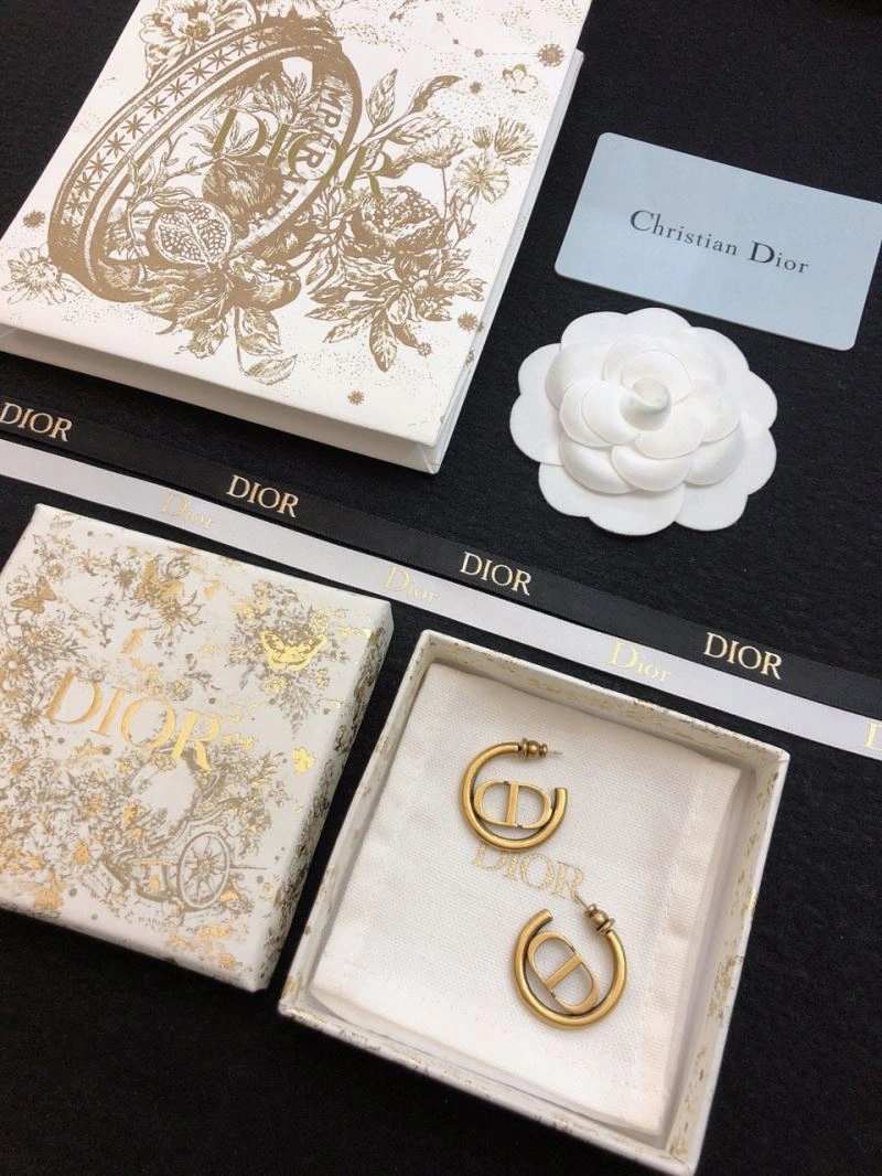 Accurate model Christian Dior Earrings