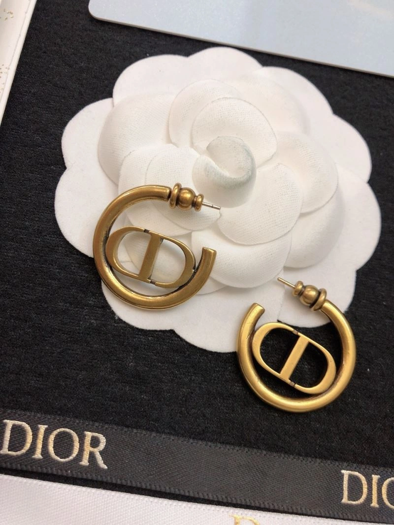 Accurate model Christian Dior Earrings