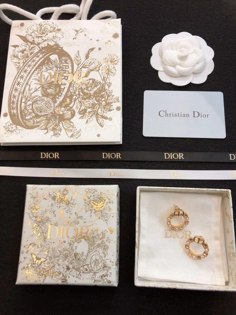 Christian Dior Earrings