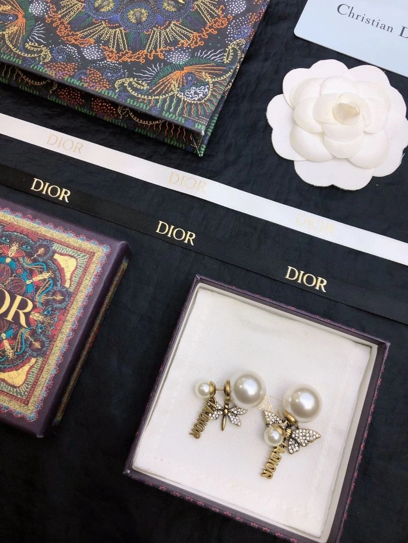High accuracy Christian Dior Earrings