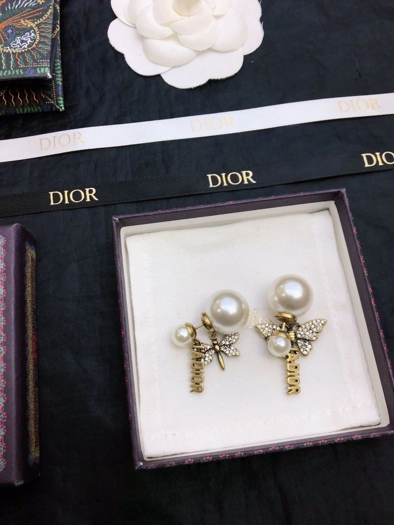 High accuracy Christian Dior Earrings
