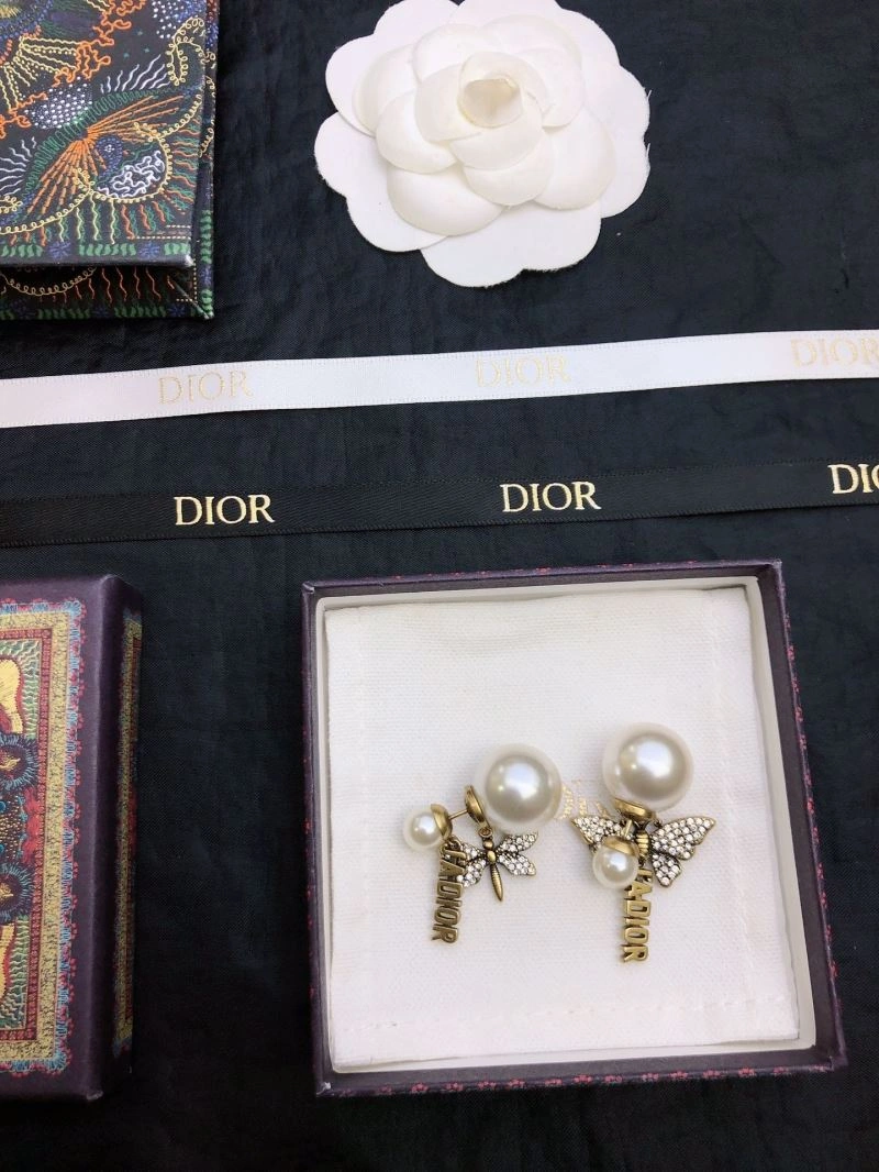 High accuracy Christian Dior Earrings