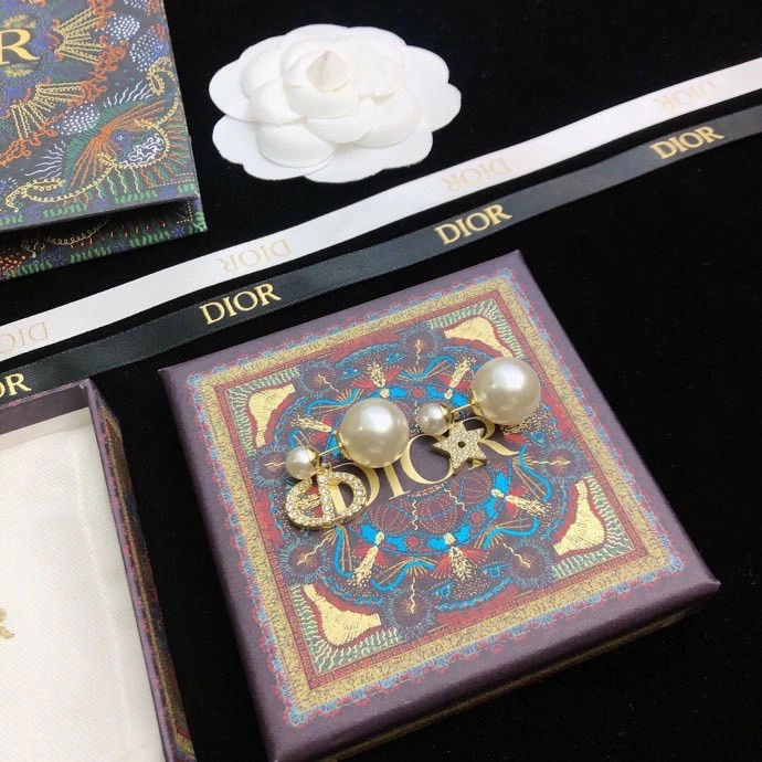 1:1 copy Christian Dior Earrings