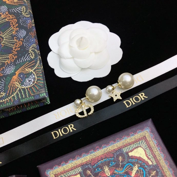 1:1 copy Christian Dior Earrings