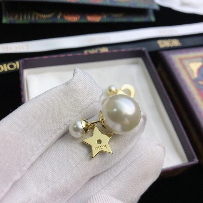 1:1 copy Christian Dior Earrings