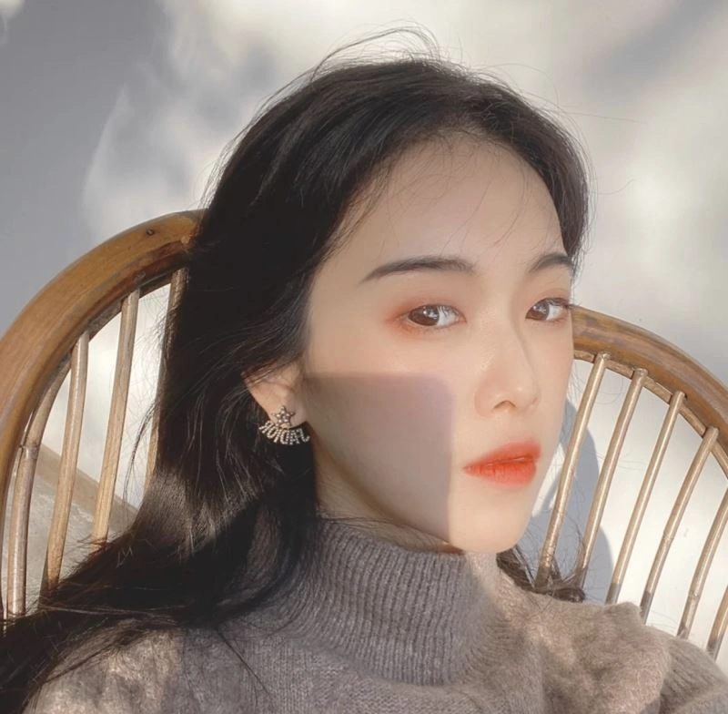 Mirror quality Christian Dior Earrings