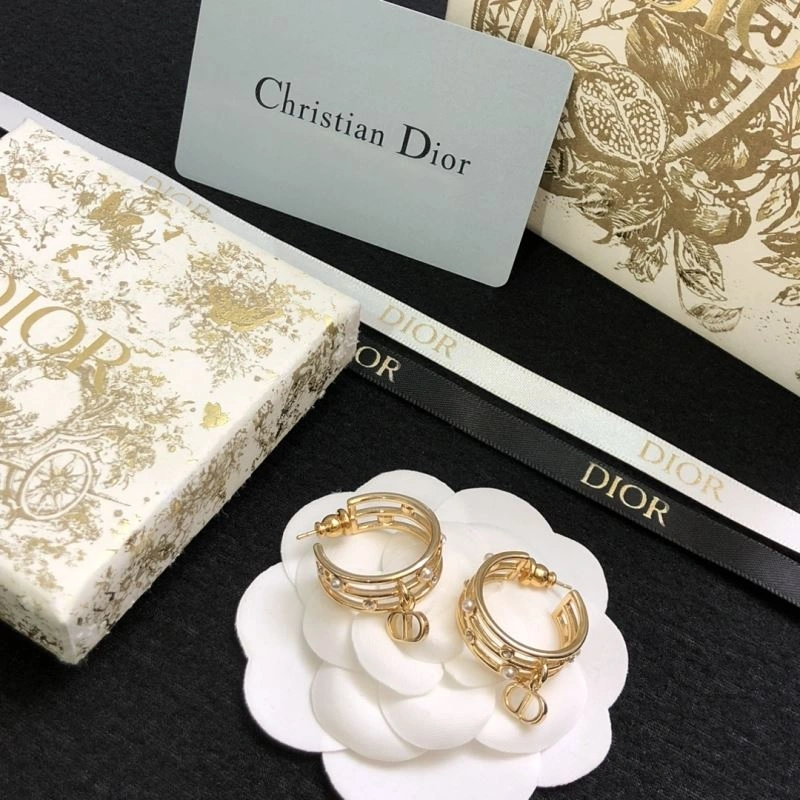 Reasonably priced Christian Dior Earrings