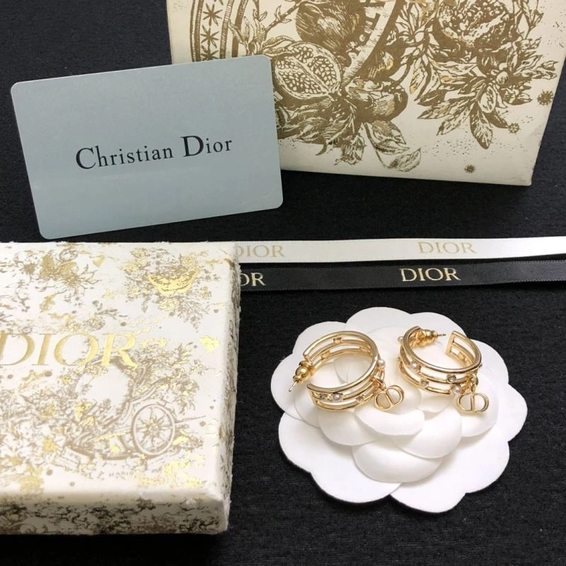 Reasonably priced Christian Dior Earrings