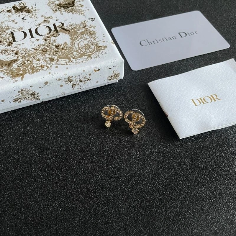 Precise copy Christian Dior Earrings