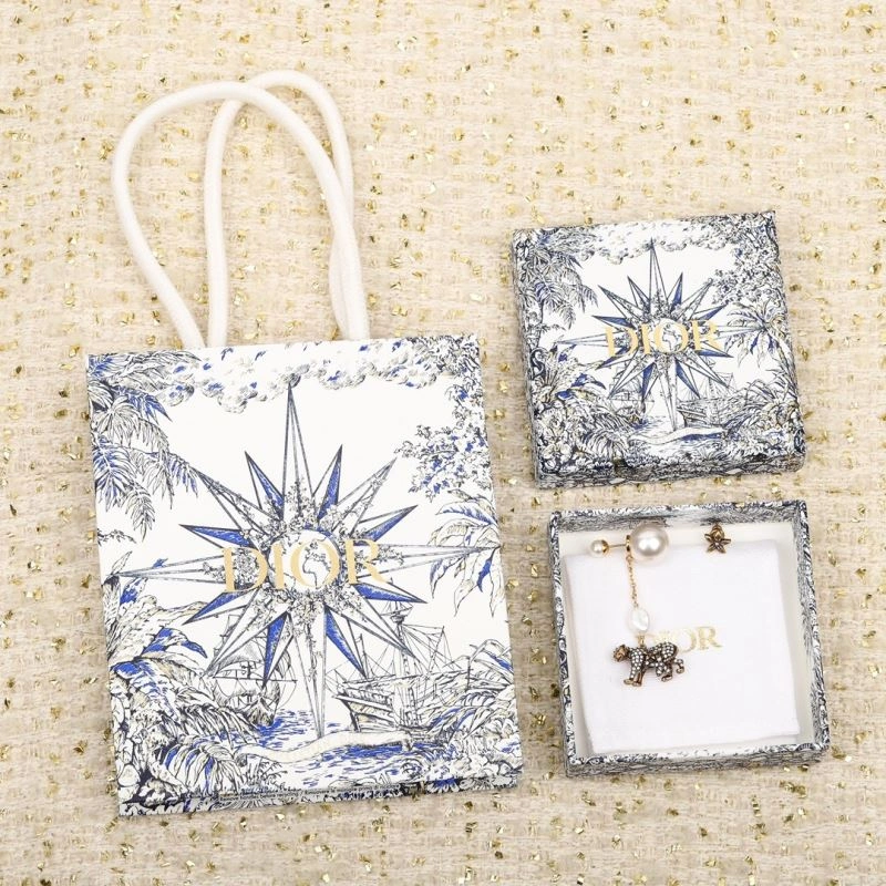 Christian Dior Earrings