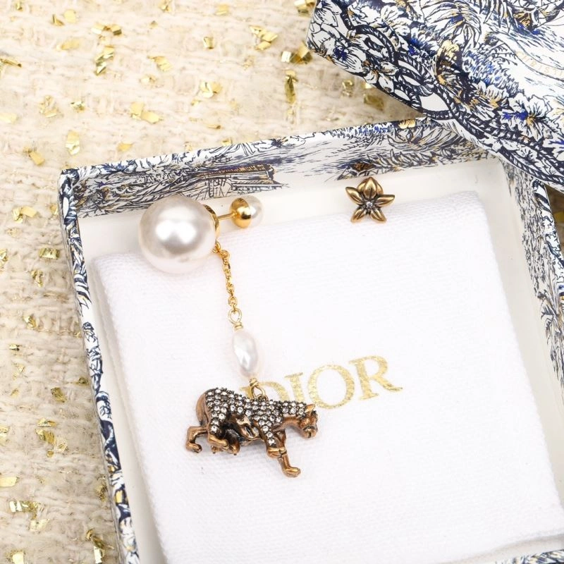 Budget-friendly Christian Dior Earrings