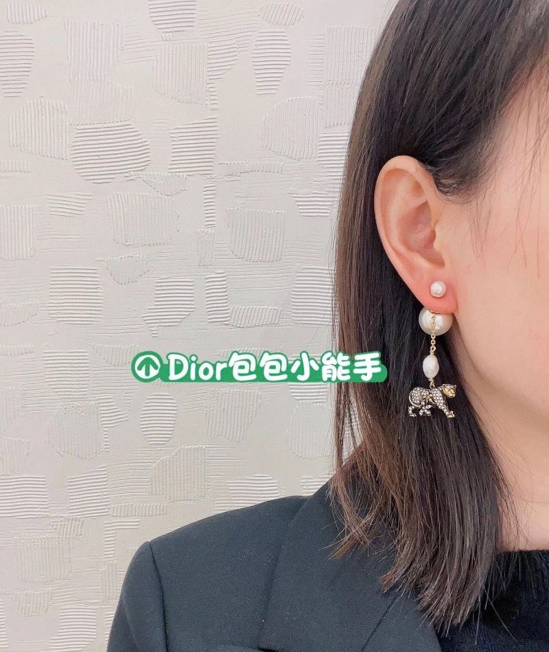 Budget-friendly Christian Dior Earrings