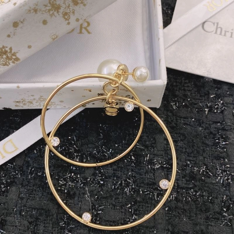 Mirror quality Christian Dior Earrings
