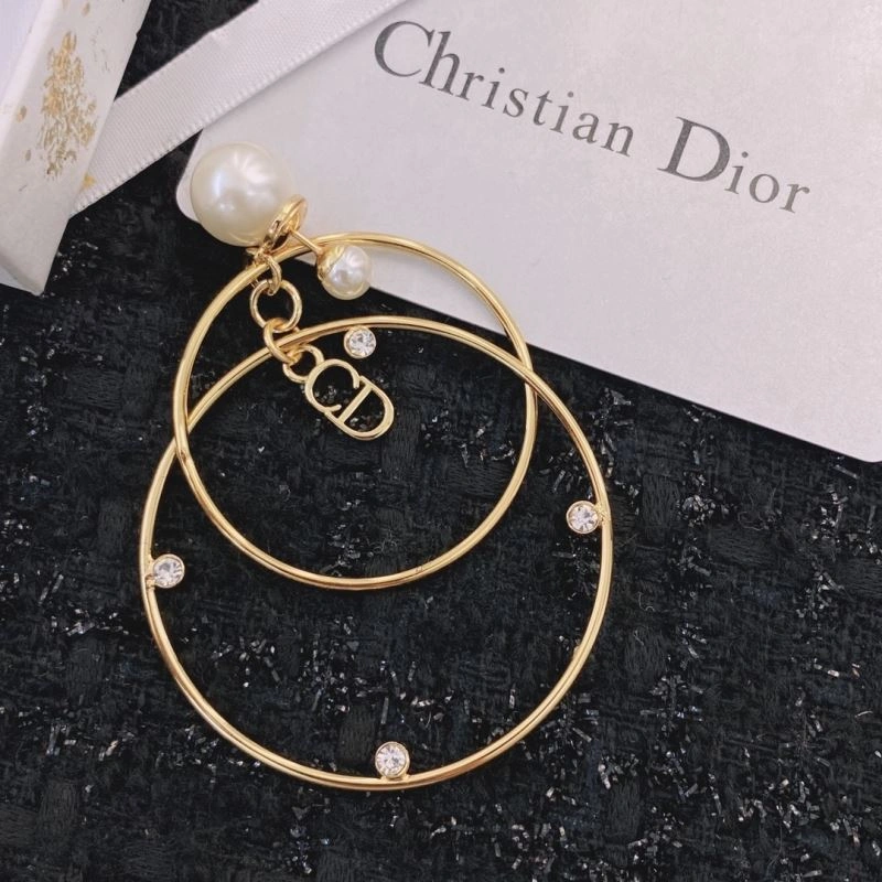 Mirror quality Christian Dior Earrings