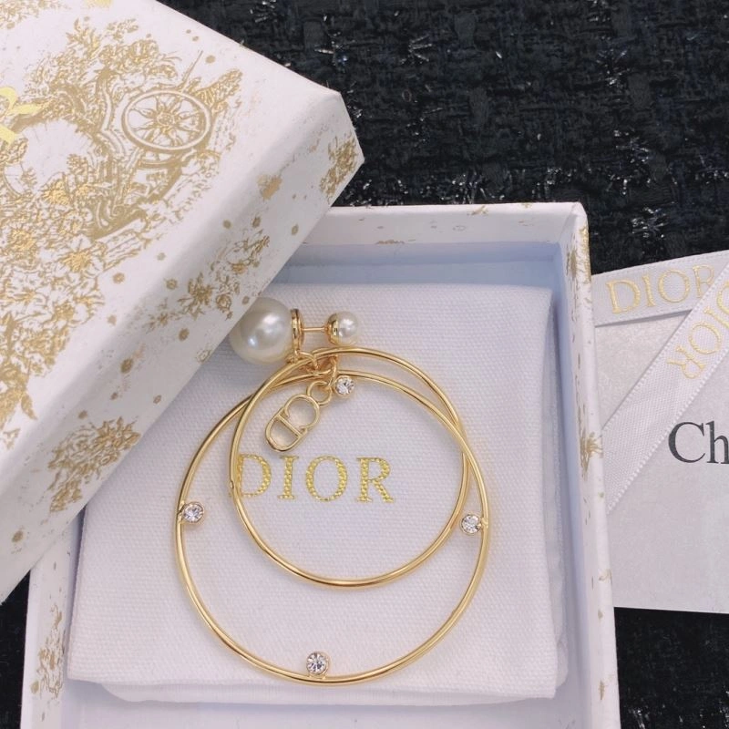 Mirror quality Christian Dior Earrings