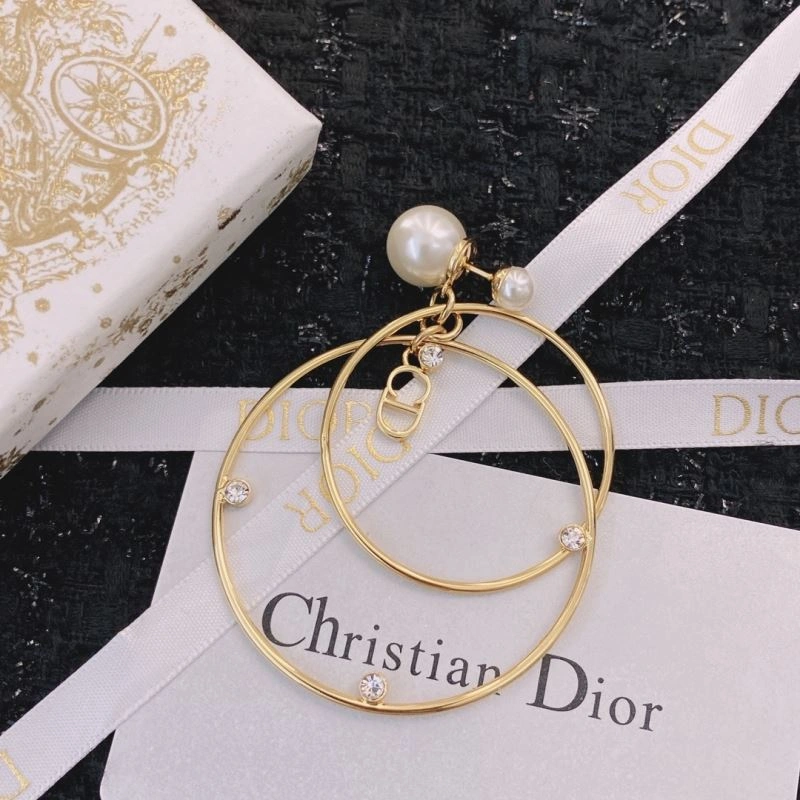 Mirror quality Christian Dior Earrings