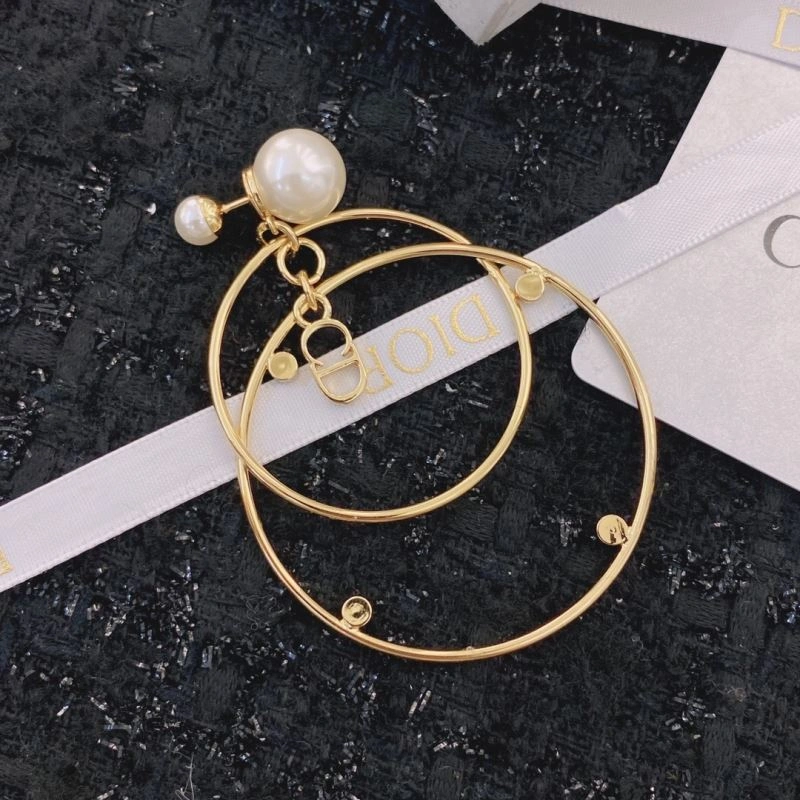 Mirror quality Christian Dior Earrings