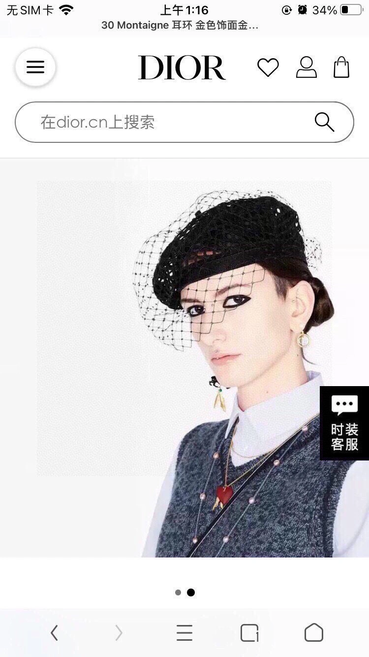 Indistinguishable Christian Dior Earrings