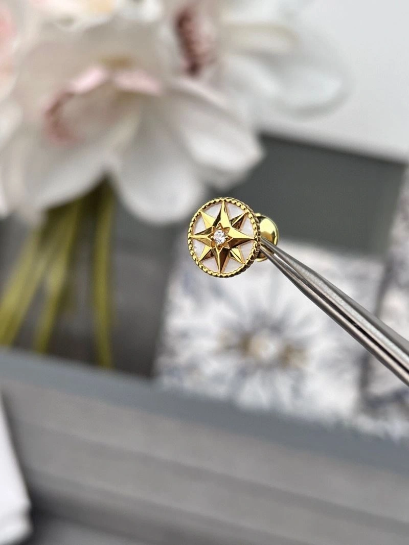 Cut-rate Christian Dior Earrings