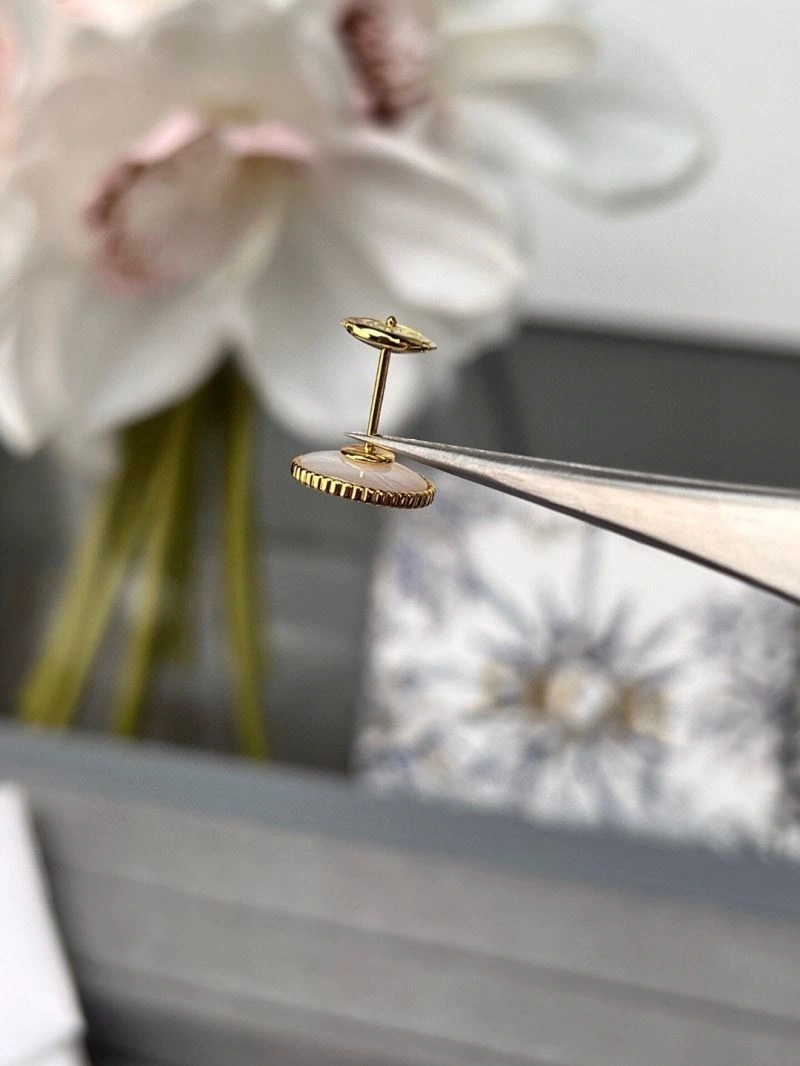 Cut-rate Christian Dior Earrings