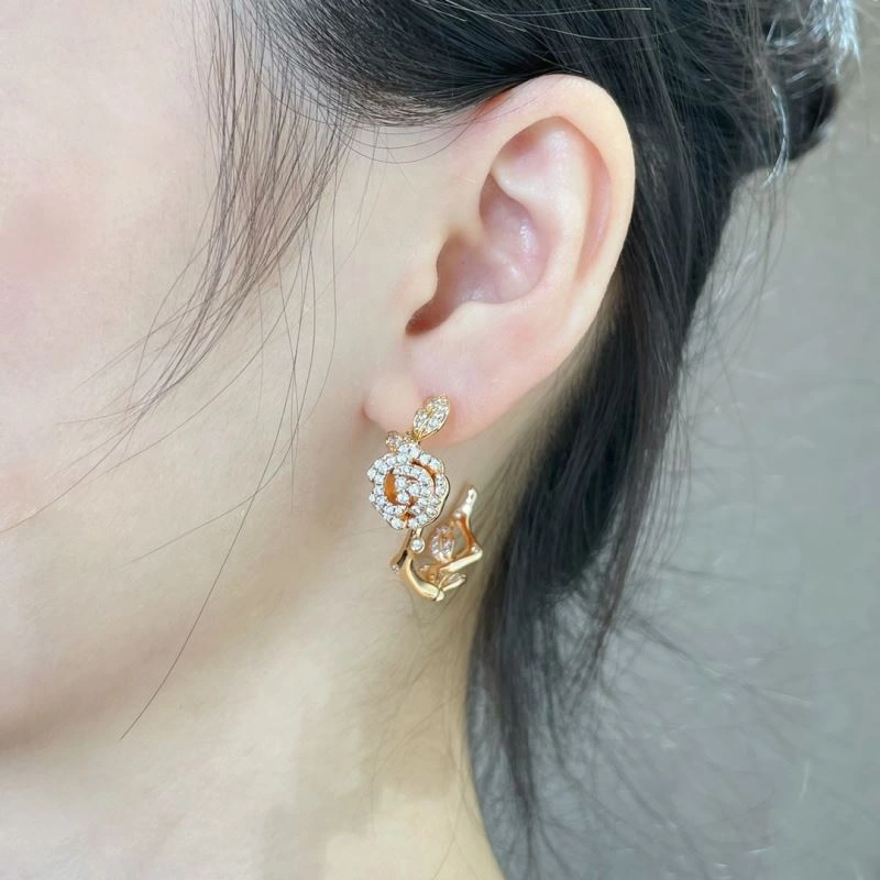 Christian Dior Earrings