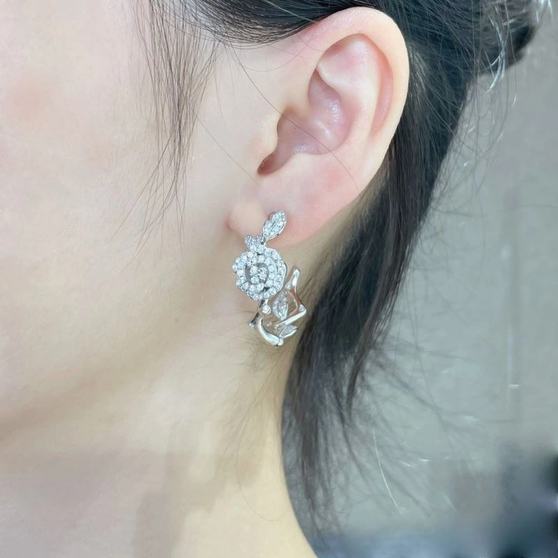 Brand-authenticated Christian Dior Earrings