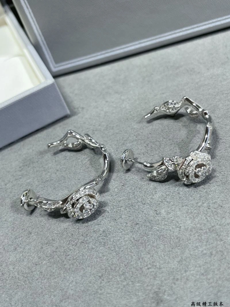 Brand-authenticated Christian Dior Earrings