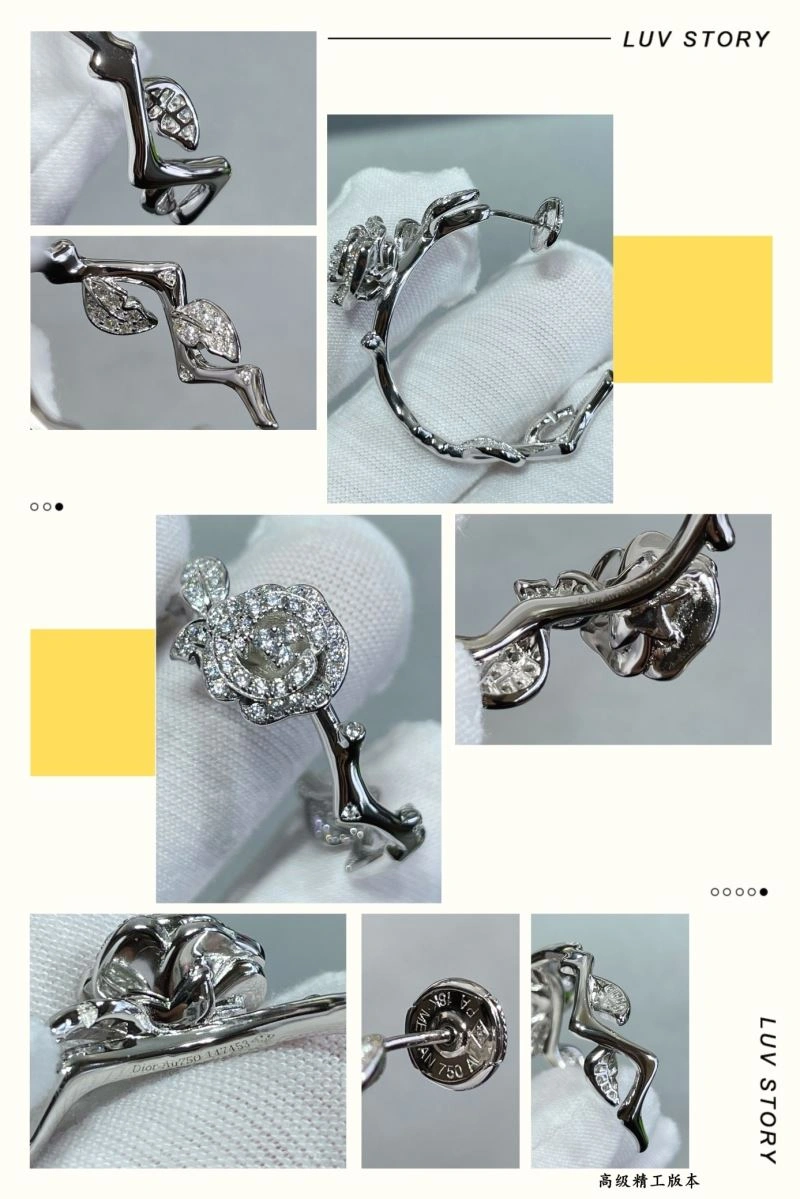 Brand-authenticated Christian Dior Earrings