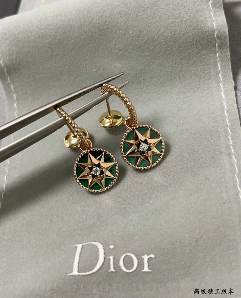 Mirror quality Christian Dior Earrings