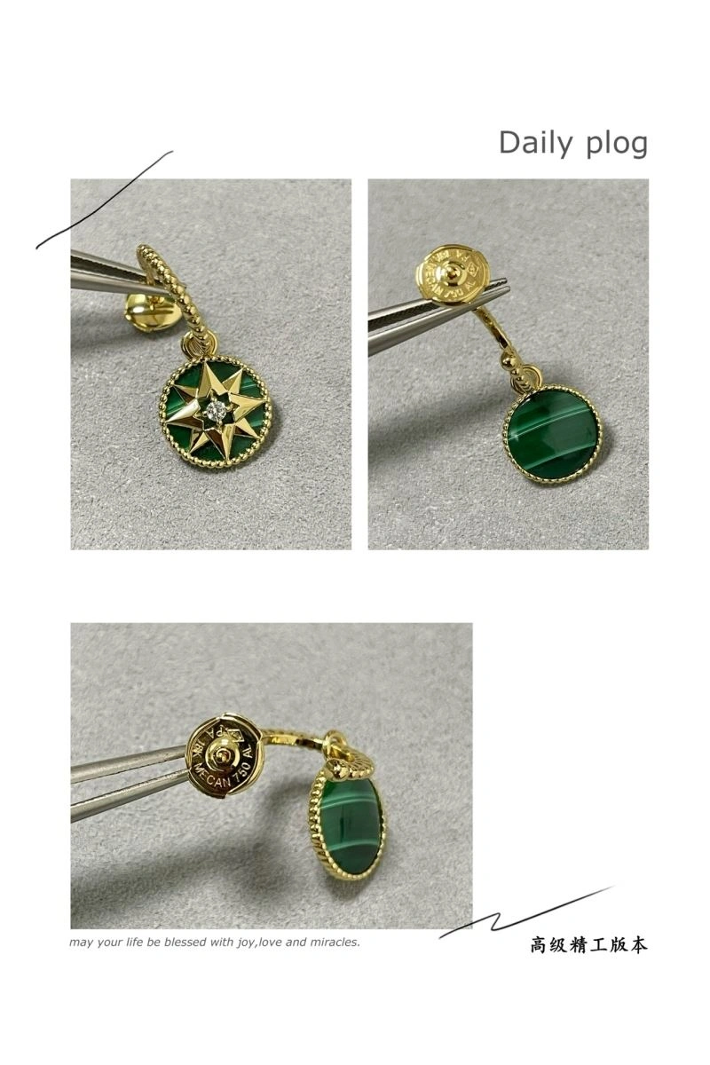 Mirror quality Christian Dior Earrings